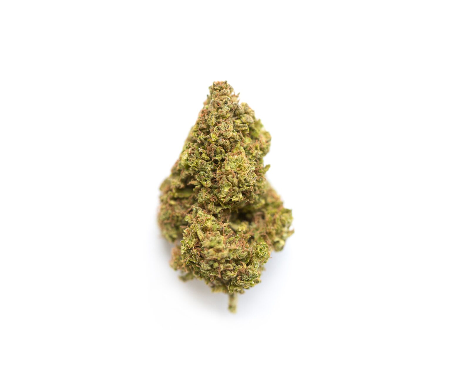 Monk Juice Marijuana Strain - hempirics.com